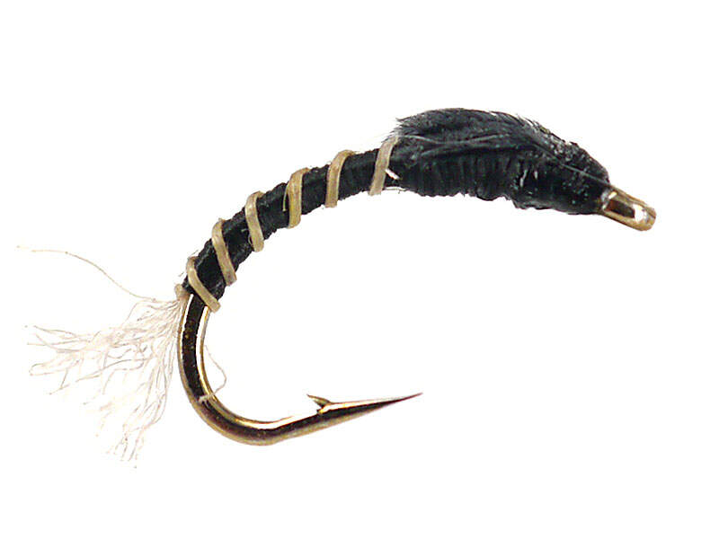 Toms Mosquito Buzzer 14 toms-mosquito-buzzer-14